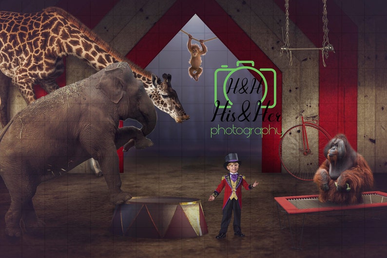 Big Top Circus Digital Background Digital Backdrop Digital - Etsy