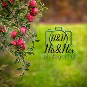 Apple Orchard, 5 Digital Backgrounds, Digital Background, Digital ...