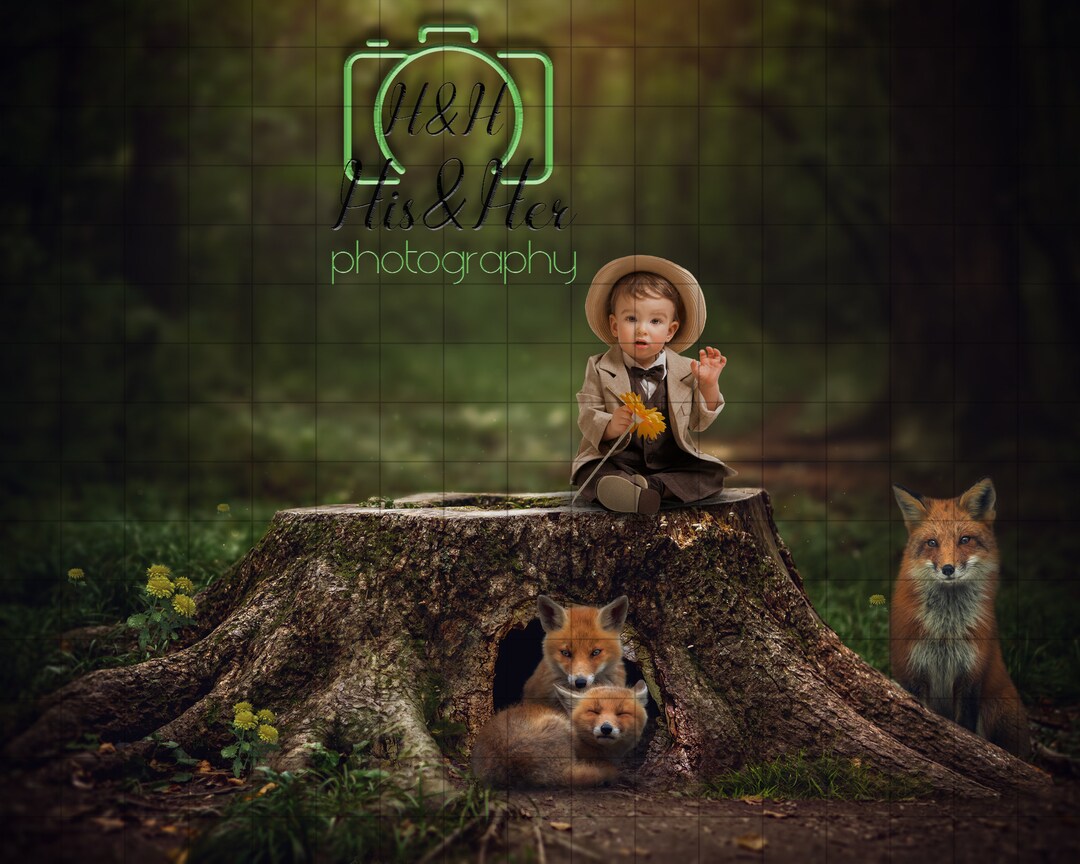 The Fox Den, Digital Background, Digital Backdrop, Digital Download ...