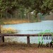2 Lake Side Bench Backgrounds, Digital Background, Digital Backdrop ...