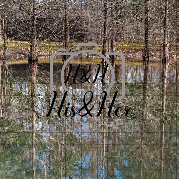 Reflection Pond Overlay - Etsy