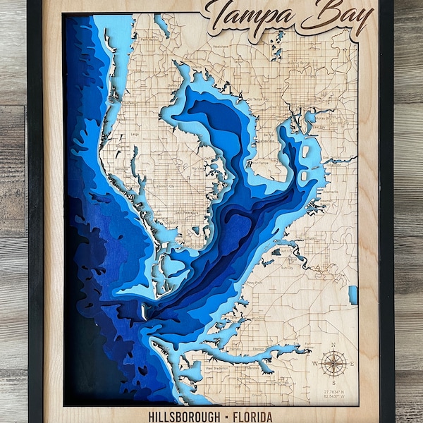 3d Map of Tampa Bay - Etsy