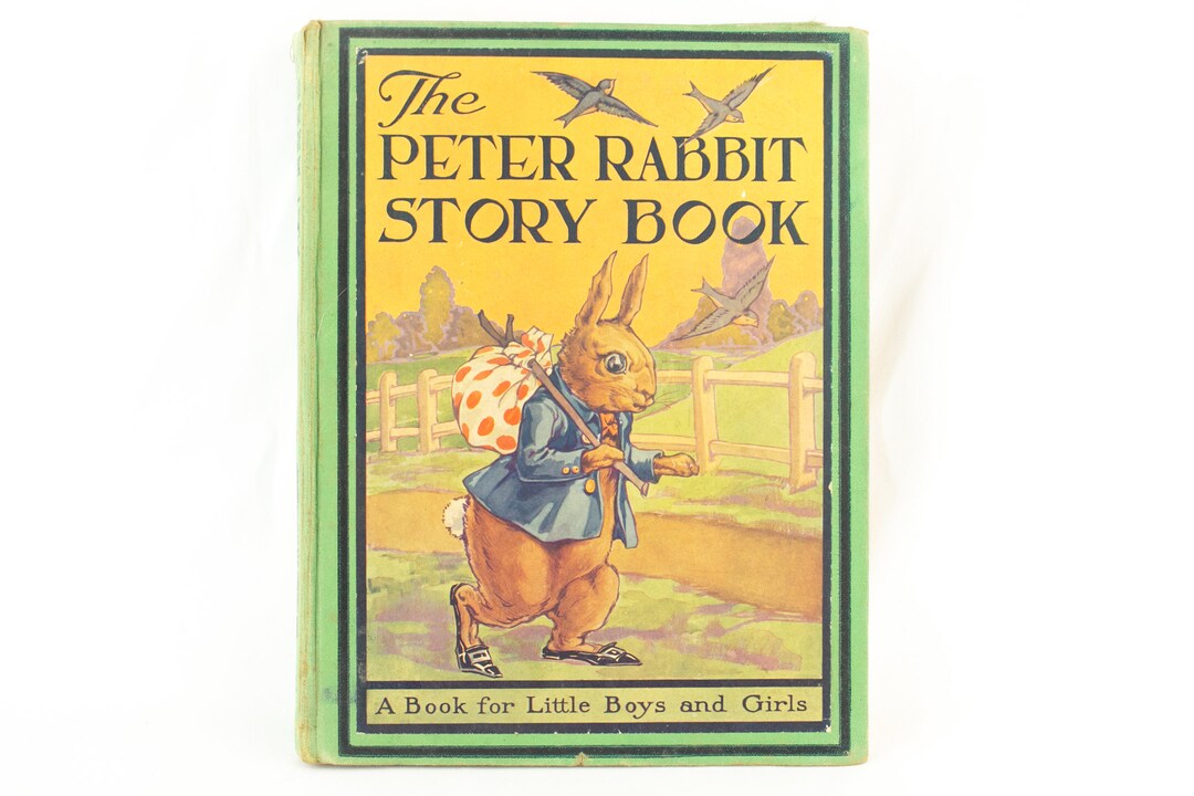 The Peter Rabbit Story Book: A Book for Little Boys and Girls by ...