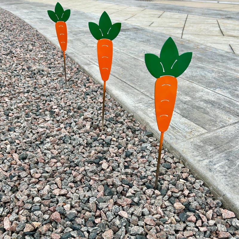 Carrot Decor - Etsy