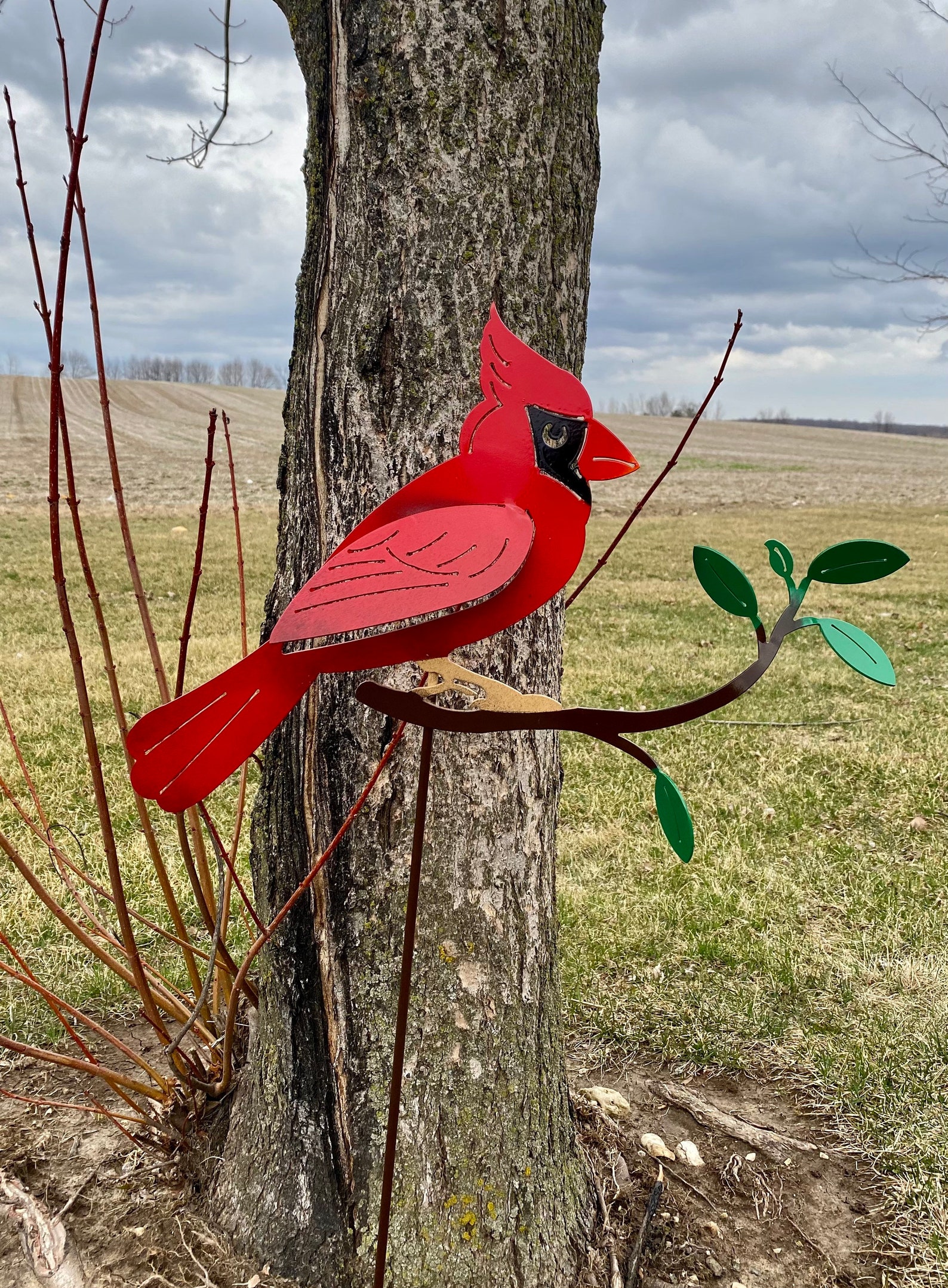 Outdoor Metal Male and Female Cardinals Yard Art, Cardinal and Bird Set ...