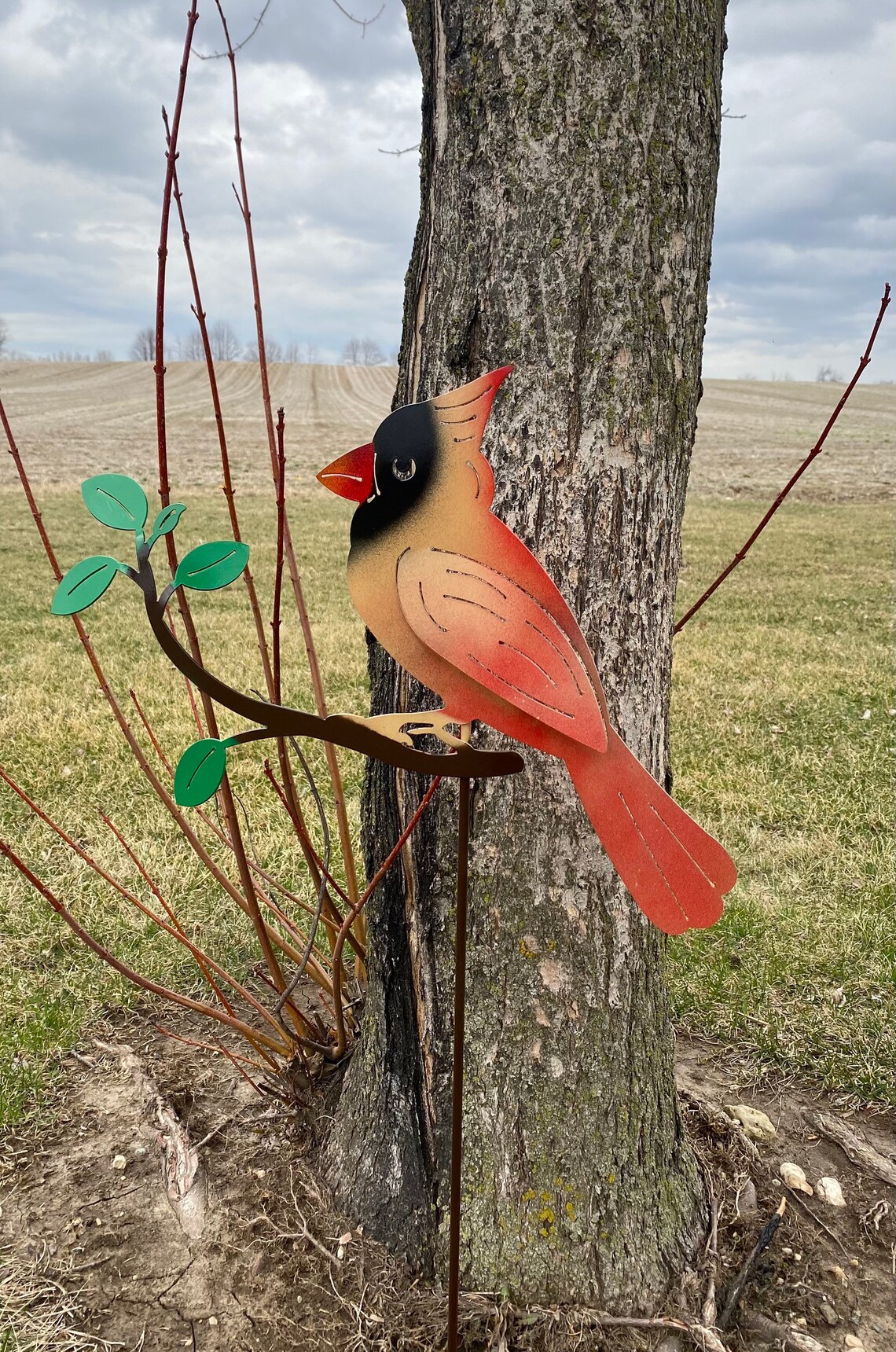 Outdoor Metal Male and Female Cardinals Yard Stake, Cardinal and Bird ...