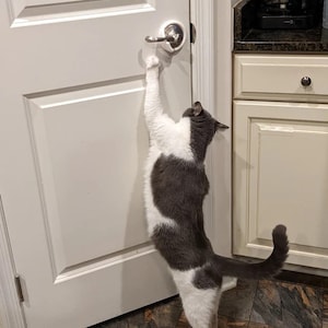 Pet Proof Door Lever Lock - the ORIGINAL! - Etsy