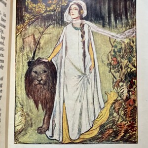Stories From the Faerie Queen by Jeanie Lang, Stunning Color Plates by ...