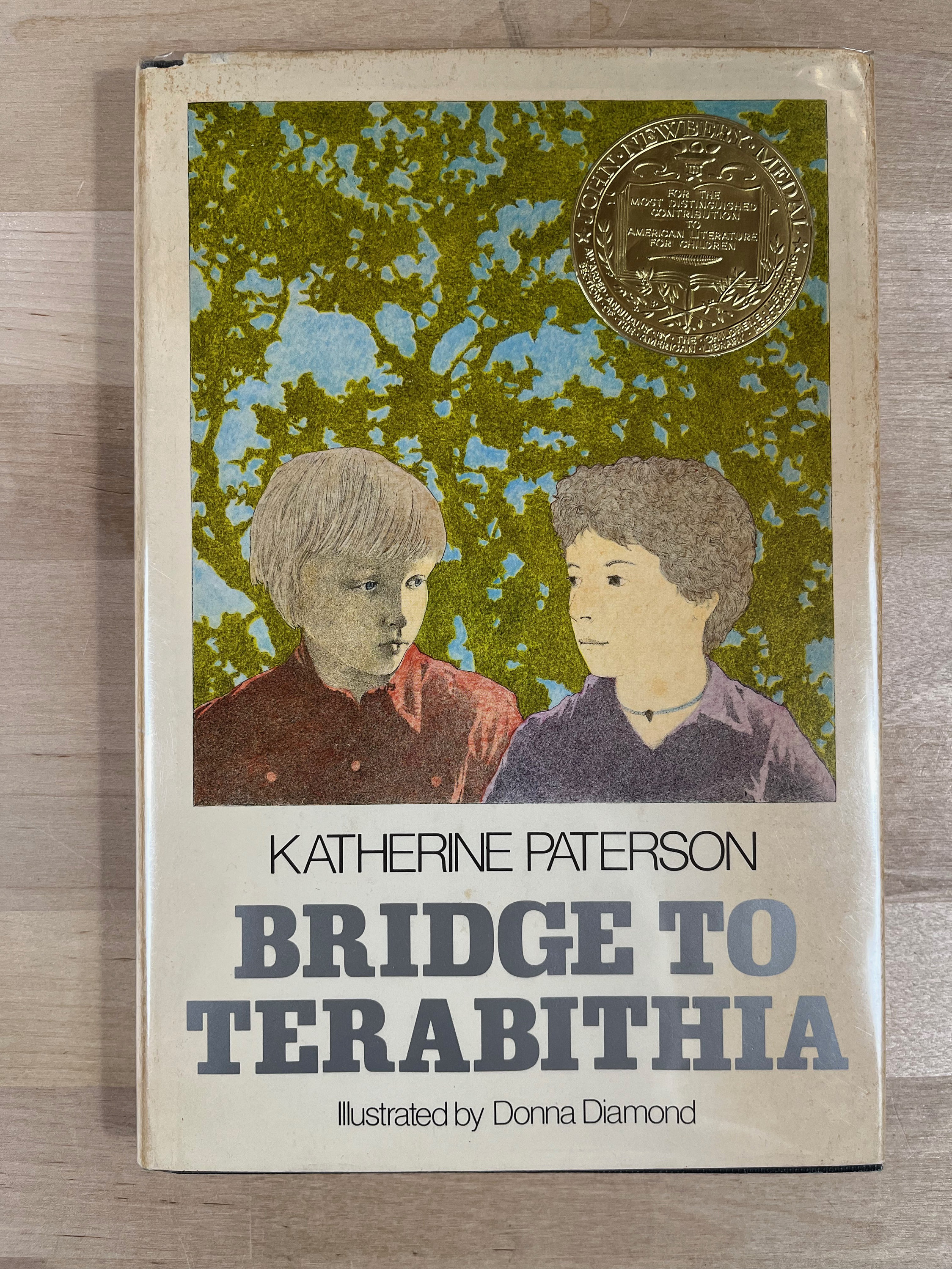 Bridge To Terabithia Book Illustrations