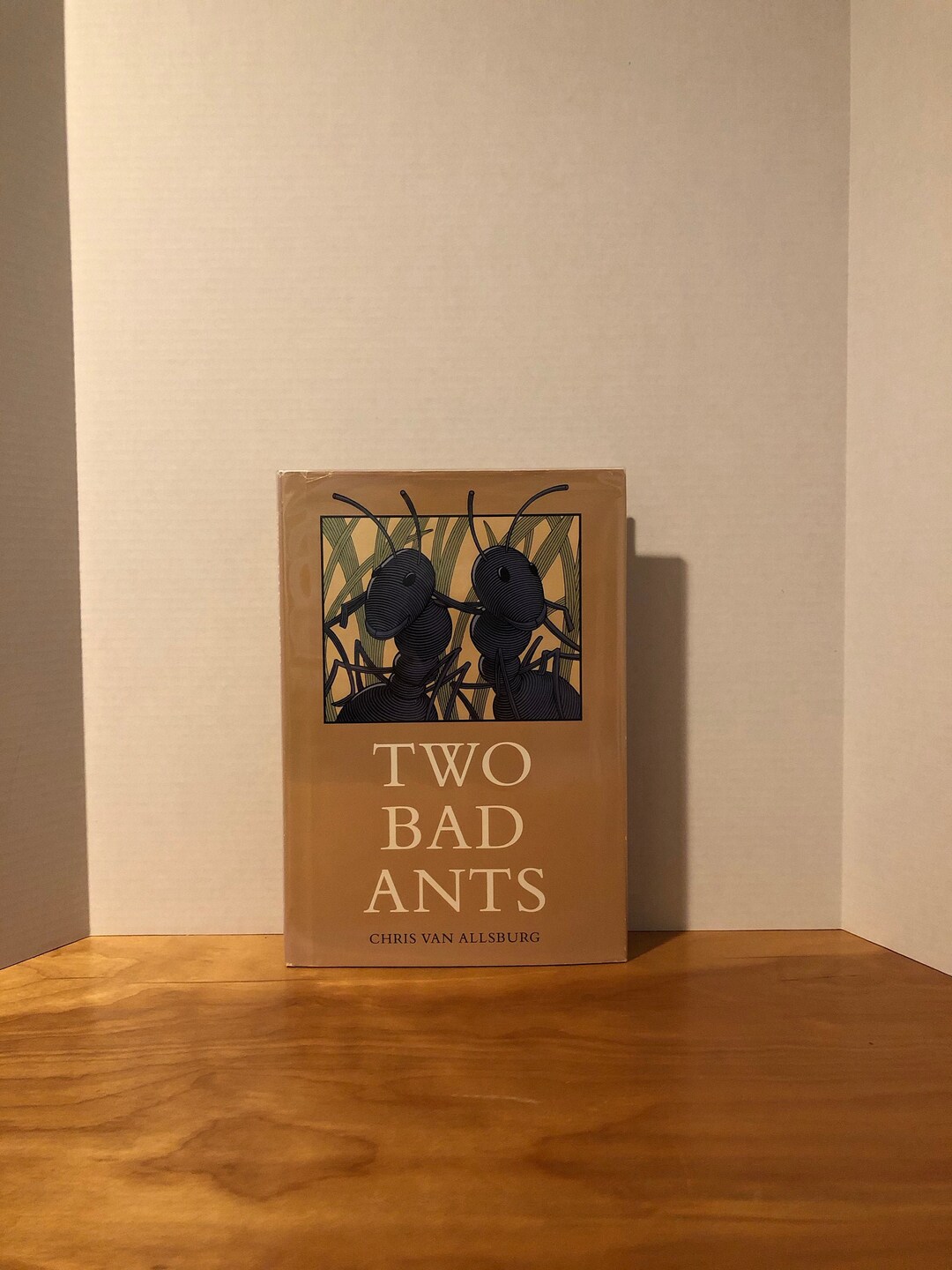 Two Bad Ants Chris Van Allsburg 1st/1st - Etsy