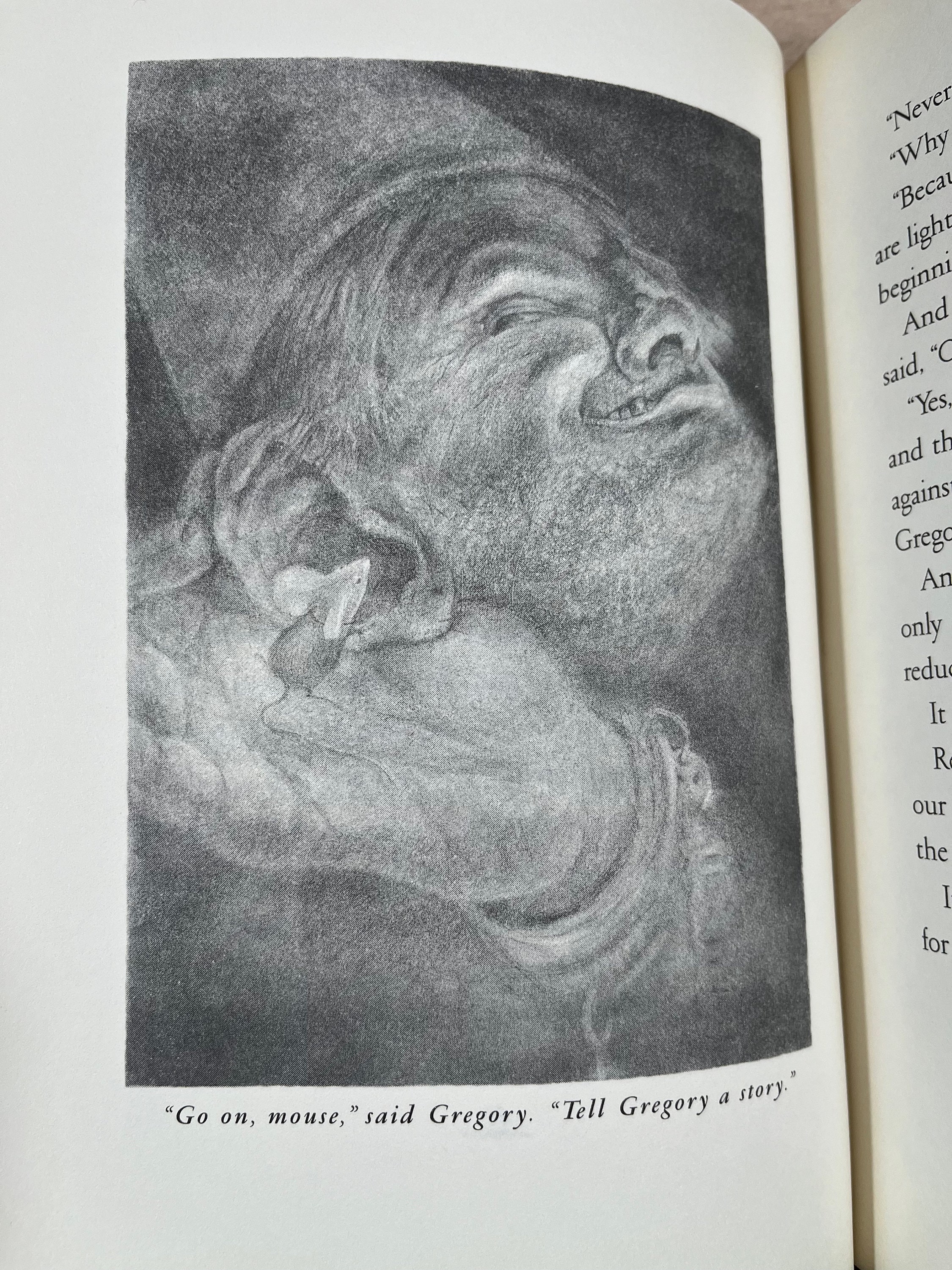 Tale Of Despereaux Book