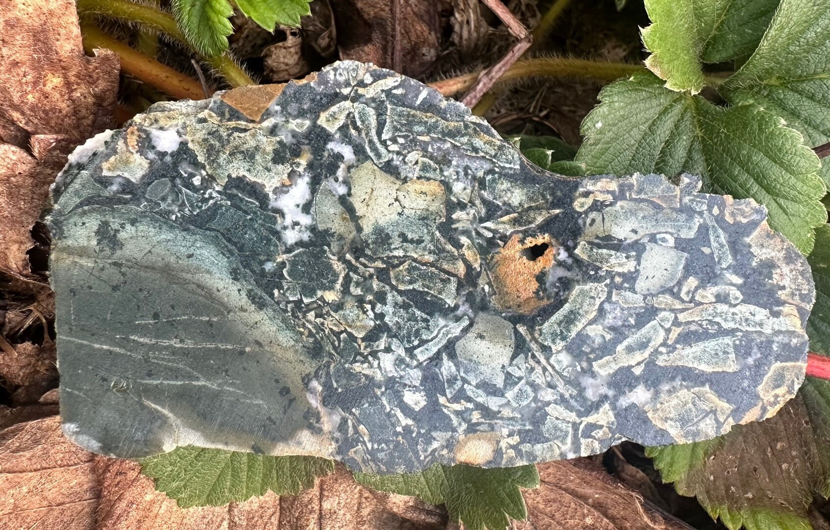 Dallasite Slab From Vancouver Island – Rare Brecciated Epidote-chlorite ...