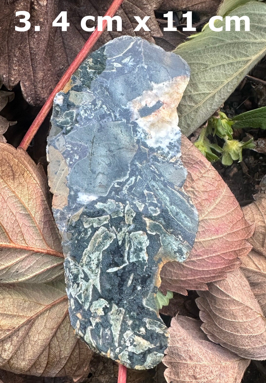 Dallasite Slab From Vancouver Island – Rare Brecciated Epidote-chlorite ...