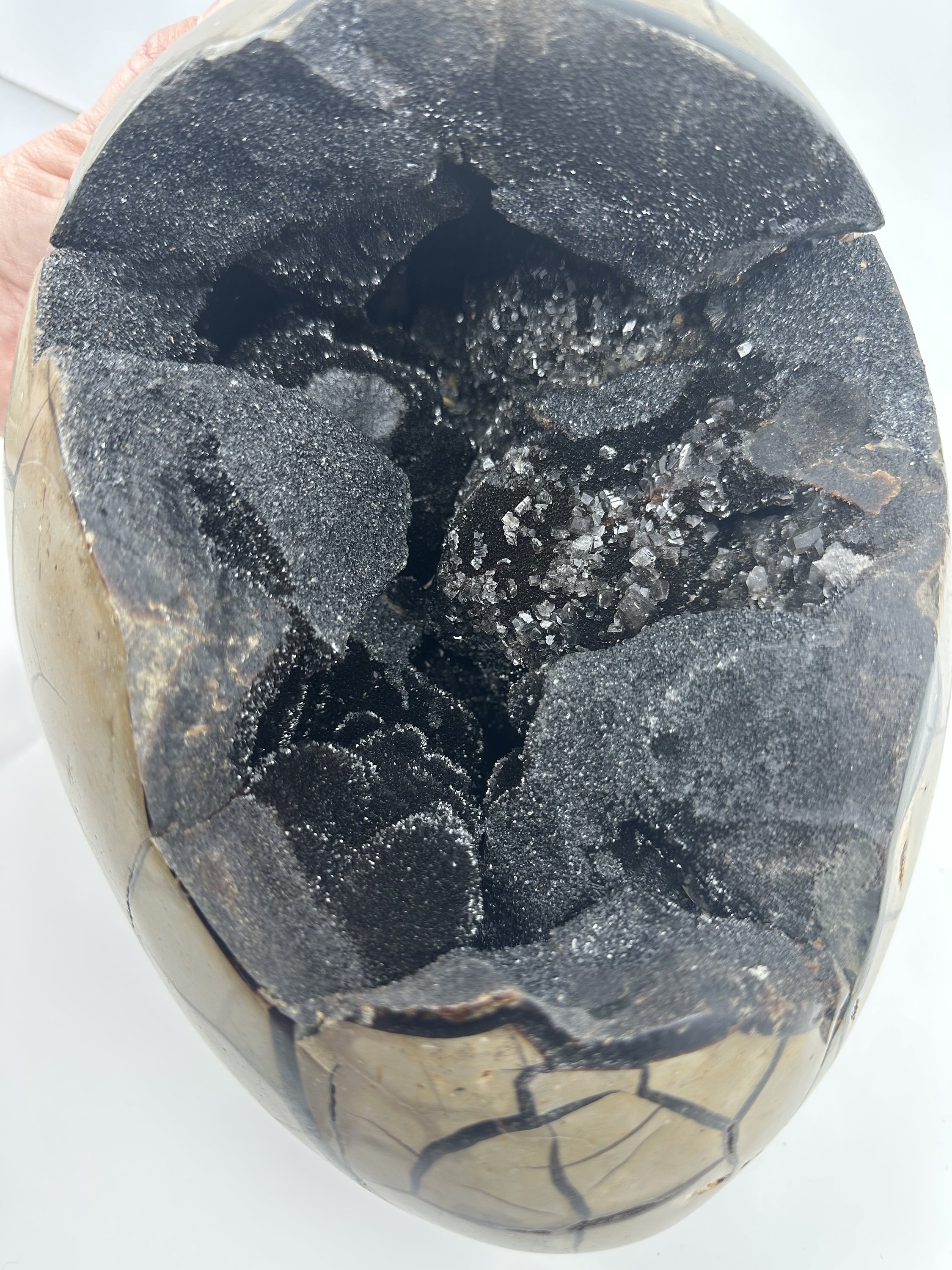 Giant Septarian Nodule, Septarian Dragon Egg From Madagascar. Museum ...