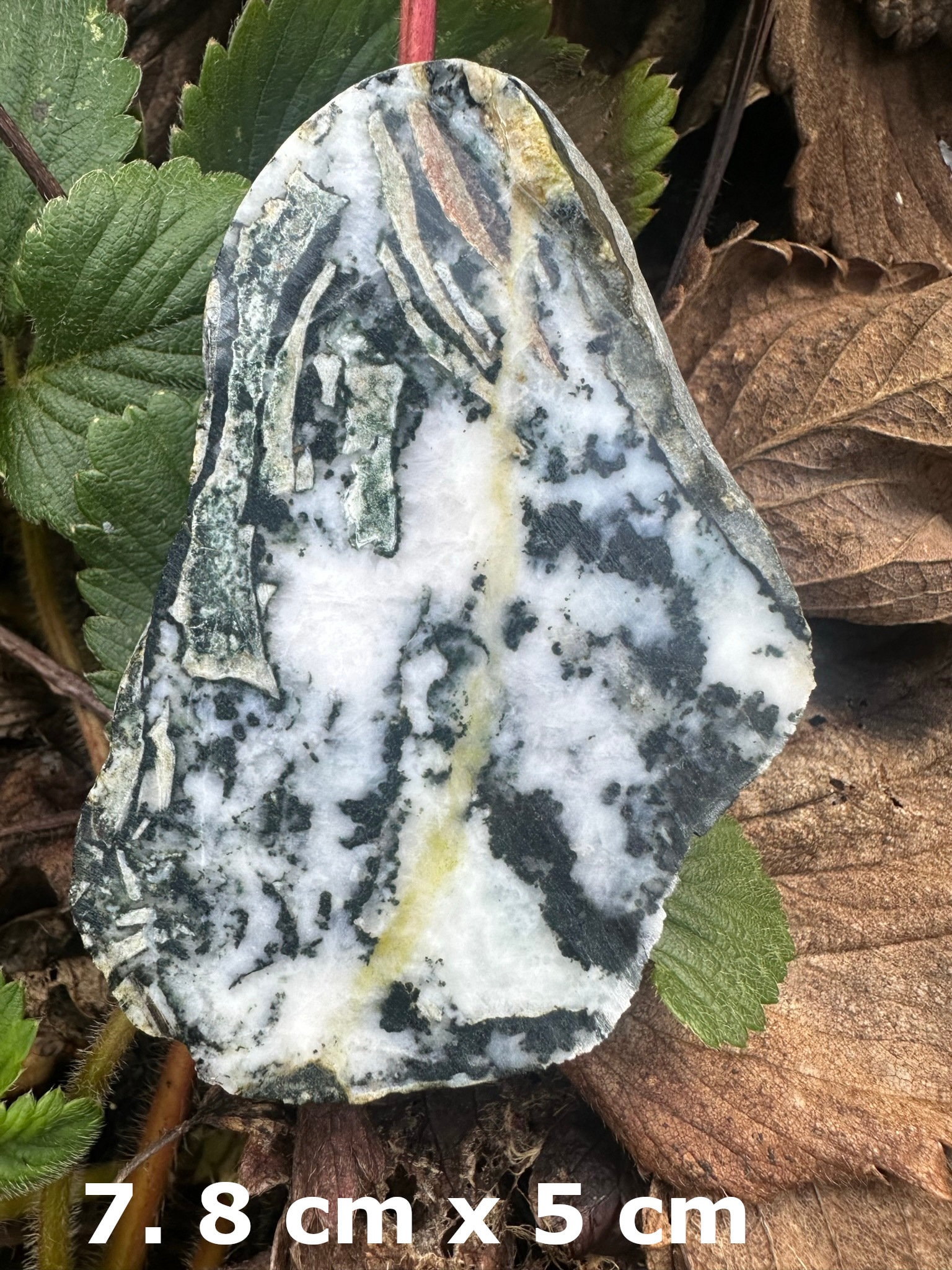Dallasite Slab From Vancouver Island – Rare Brecciated Epidote-chlorite ...