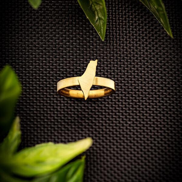 Palestine Ring Silver - Etsy