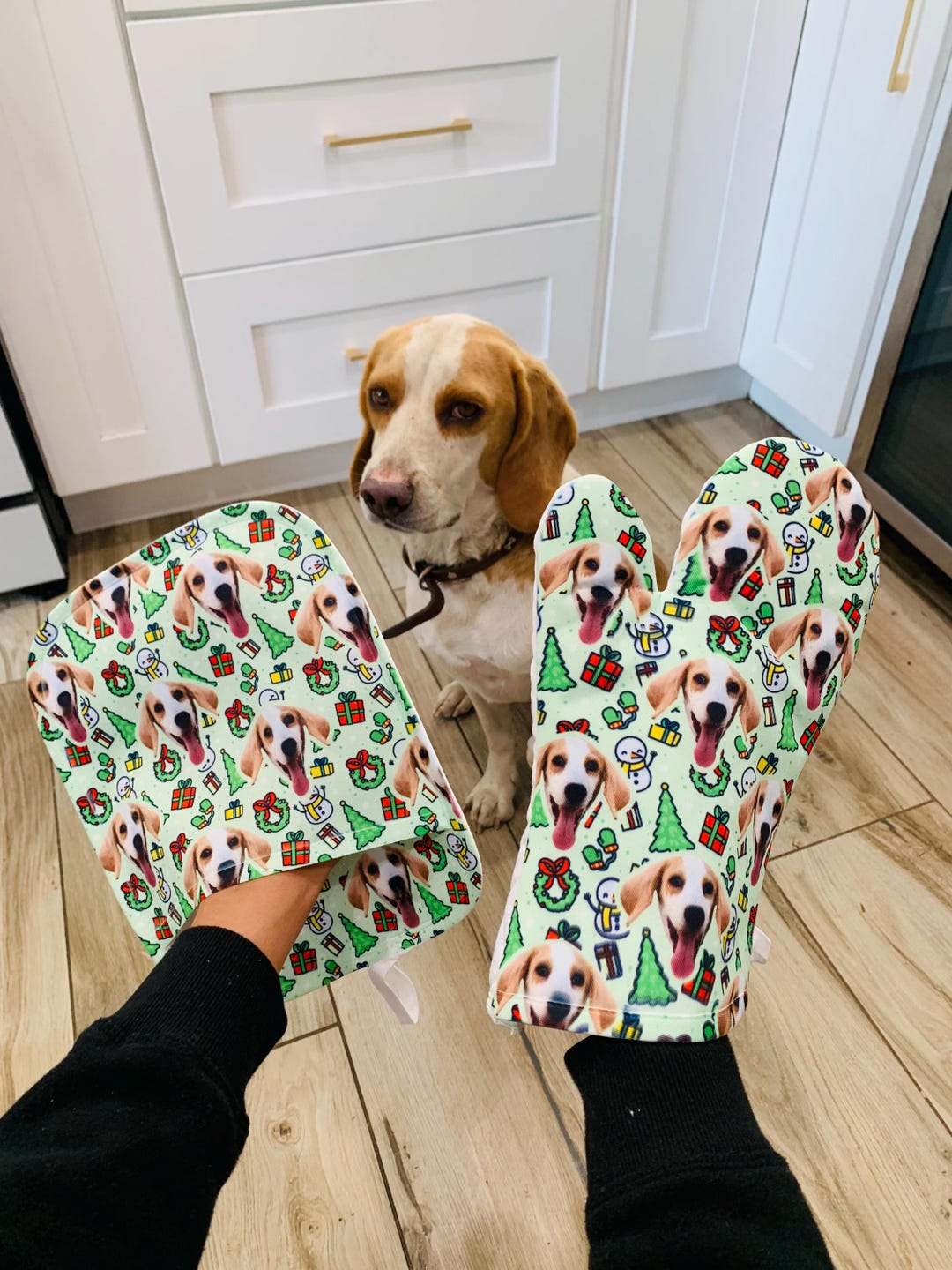 Custom Pet Oven Mitten Set With Pot Holder - Personalized Dog & Cat ...