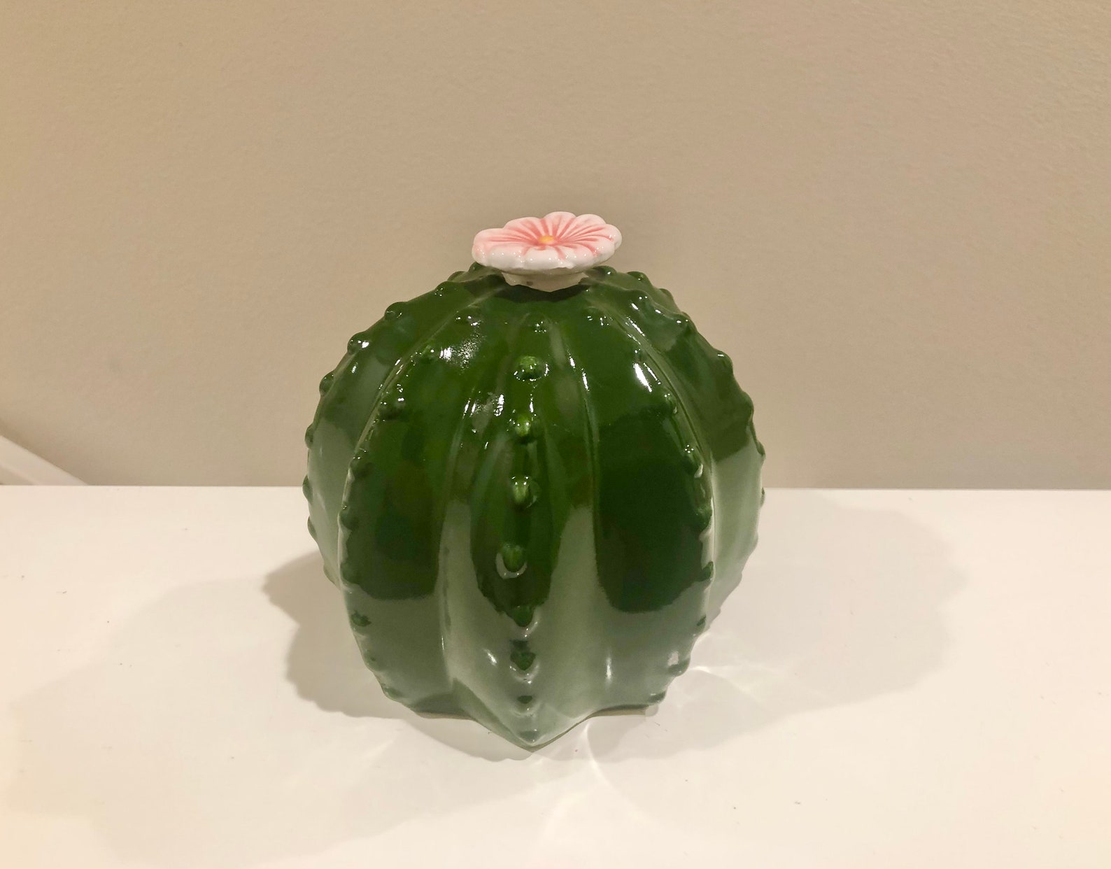 Ceramic Cactus Hamster Hideout Set | Etsy Canada