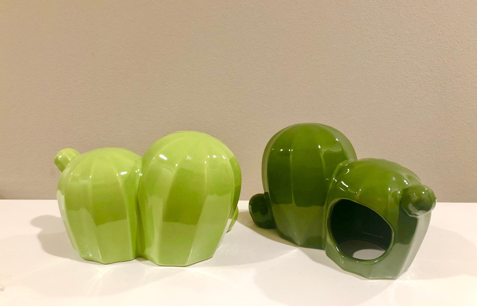 Ceramic Cactus Hamster Hideout Set | Etsy Canada