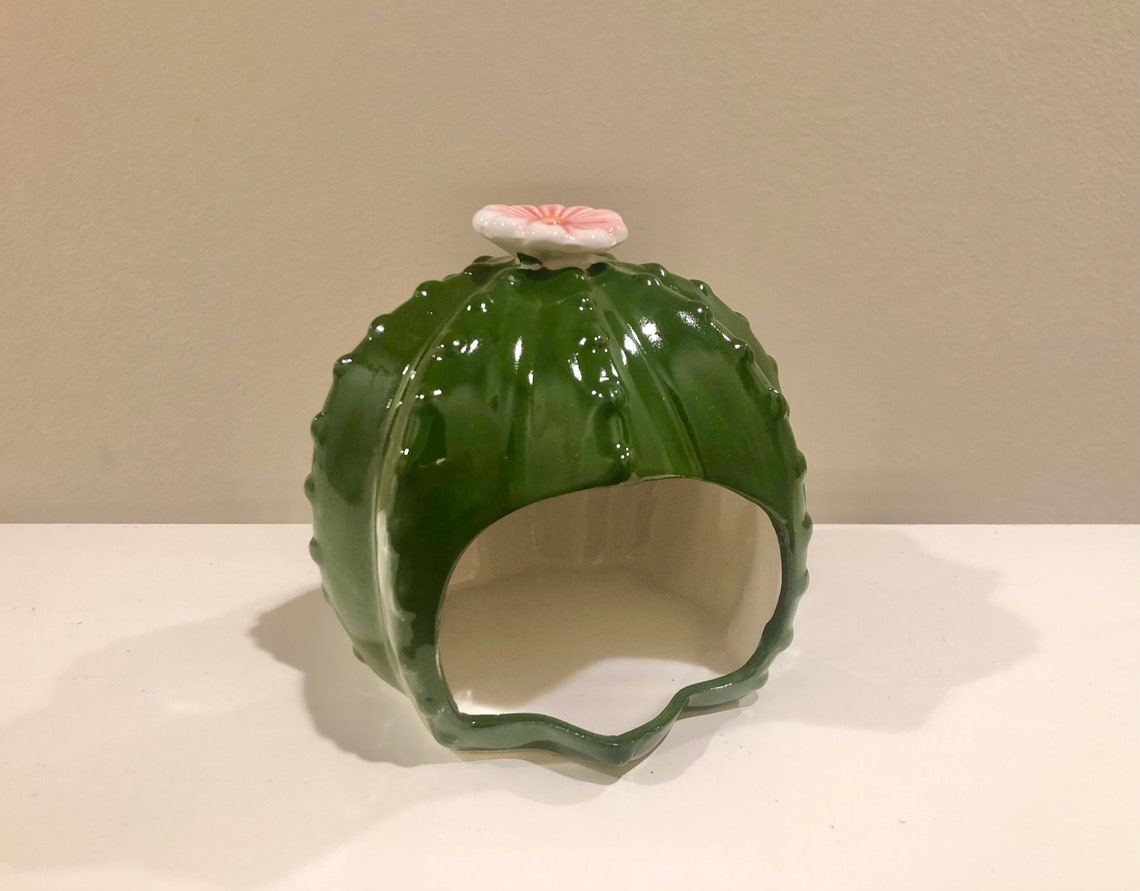 Ceramic Cactus Hamster Hideout Set | Etsy Canada