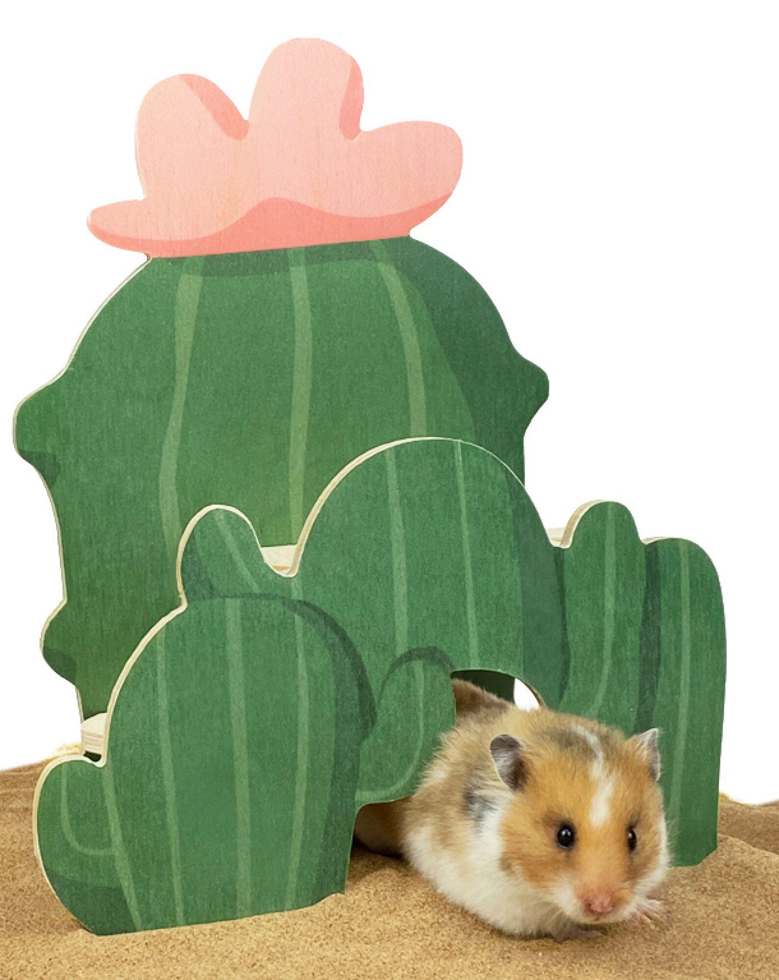 Natural Wood Colorful Hamster Hideouts | Etsy