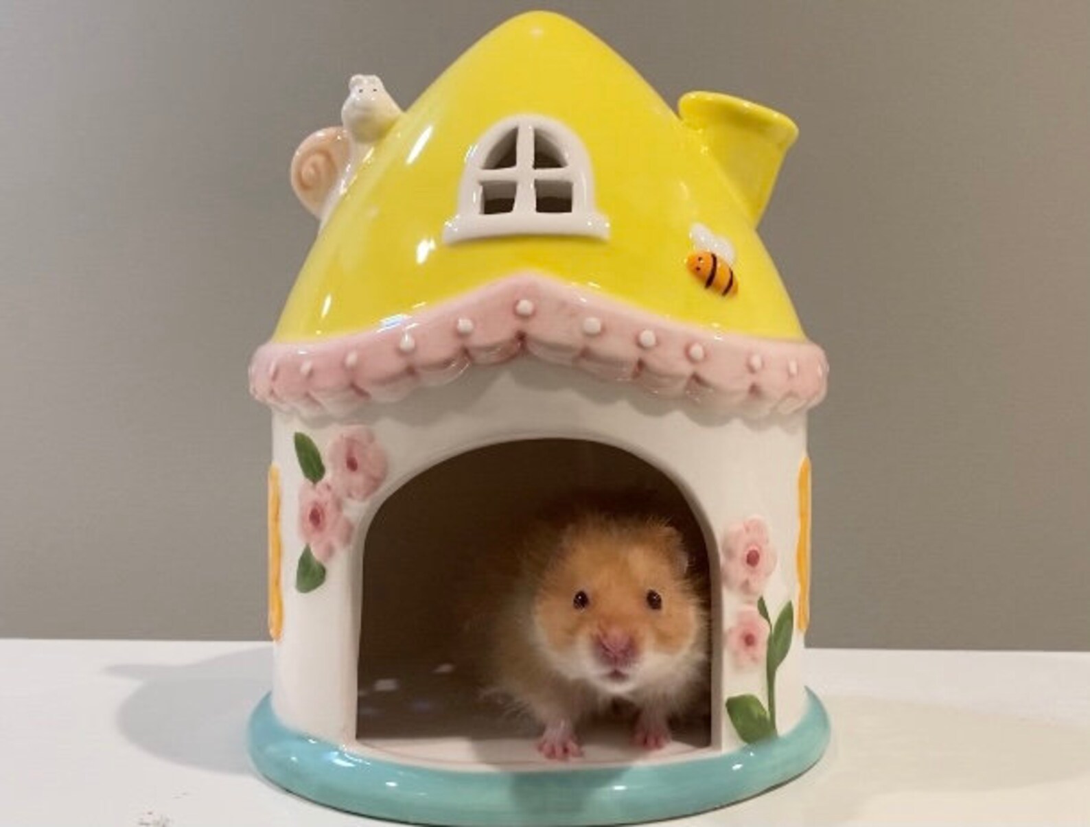 Hamster Fairy Castle Hideouts - Etsy