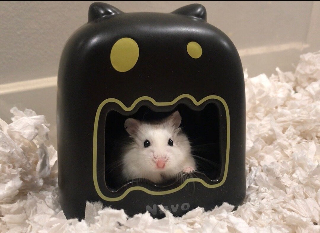 Navo Black Monster Hideout - Etsy