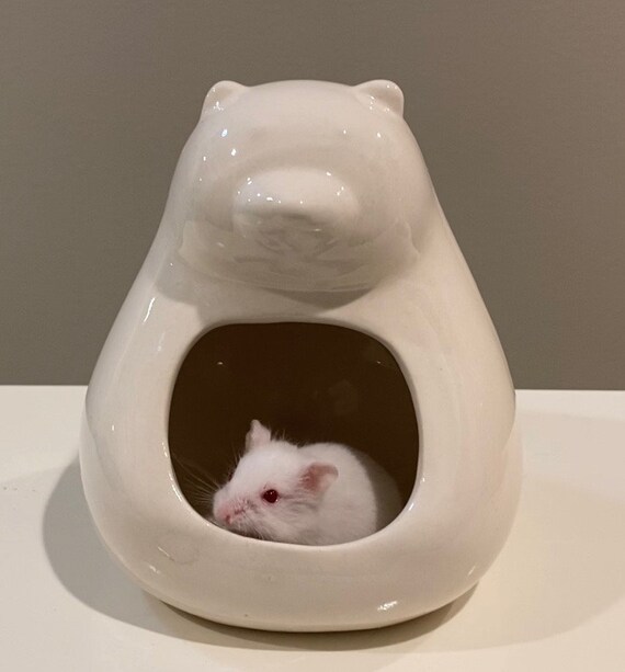 Polar Bear Hamster