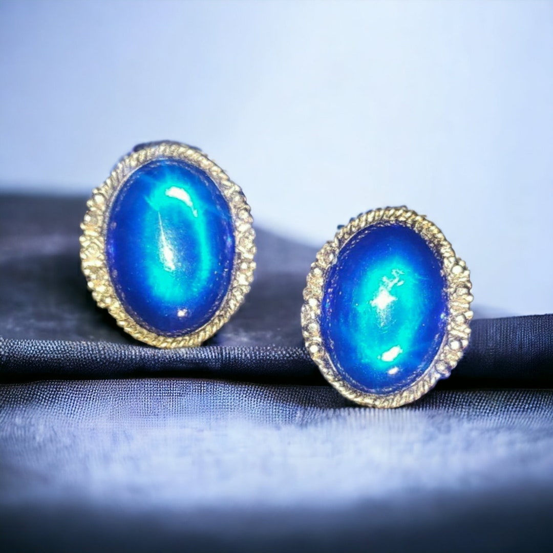 Shoe Clips, Vintage Signed Oval Blue Stone Pisces Jewelry Brand Vintage ...