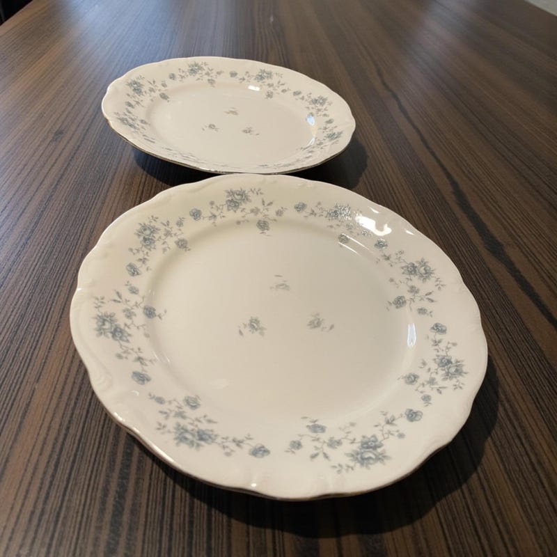 German Dinnerware - Etsy