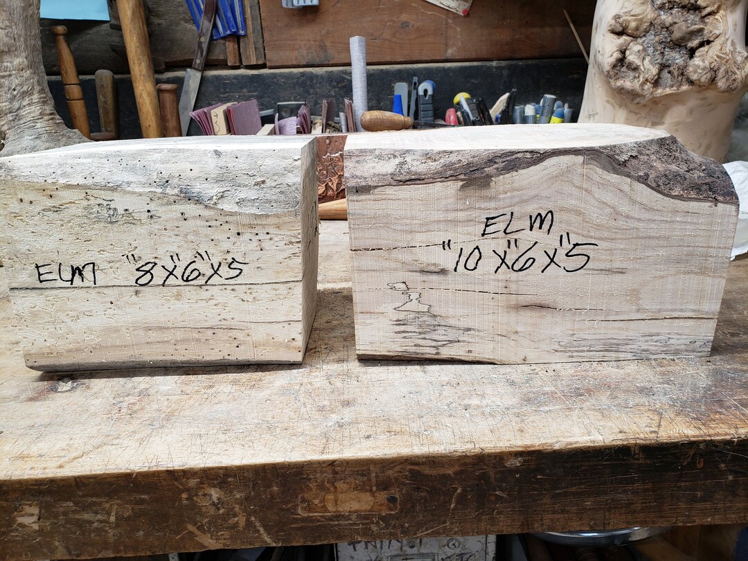 Elm Spalted Blanks - Etsy