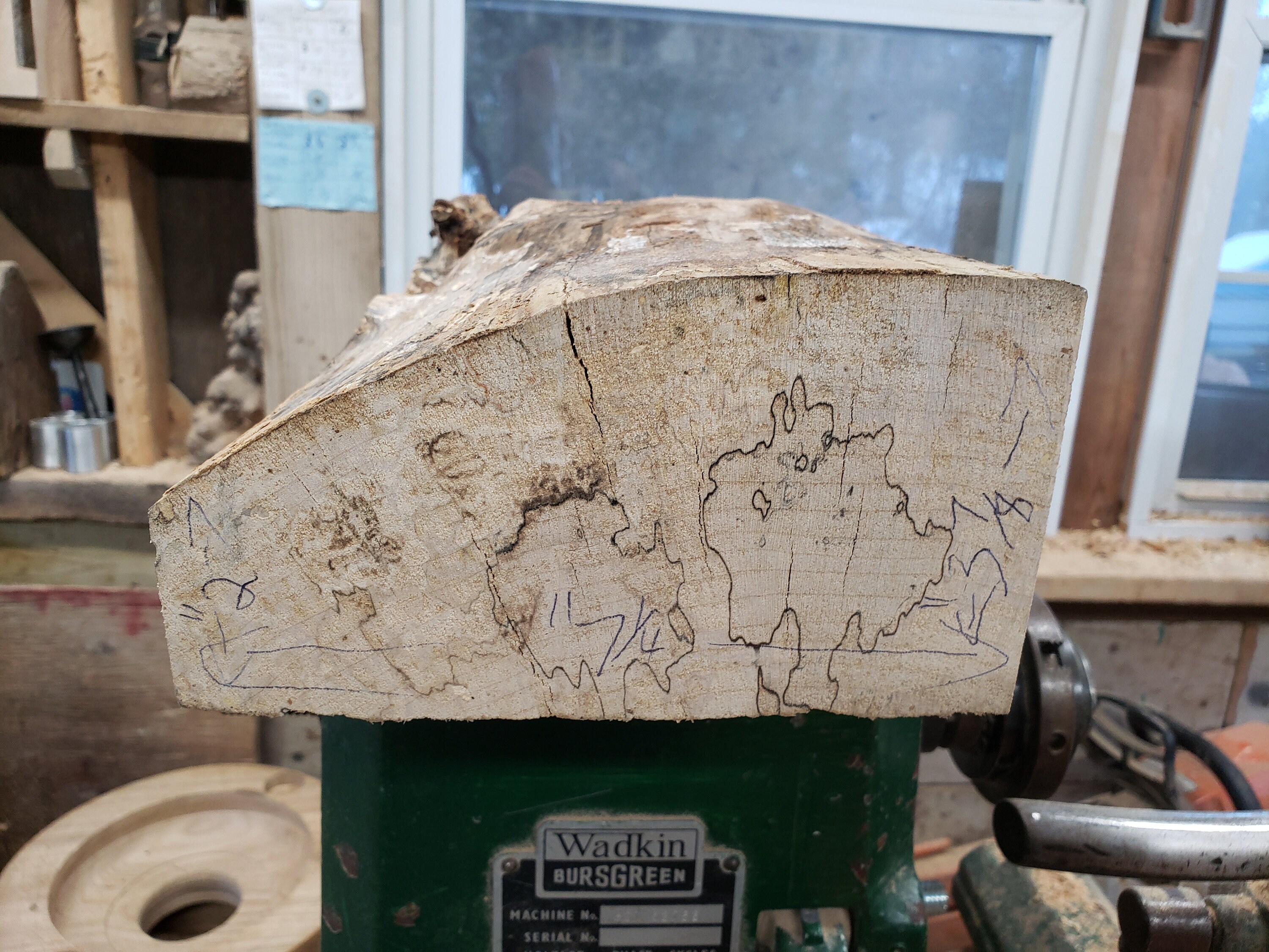 Spalted Maple Slab With Natural Slabside Nat. Edge. - Etsy