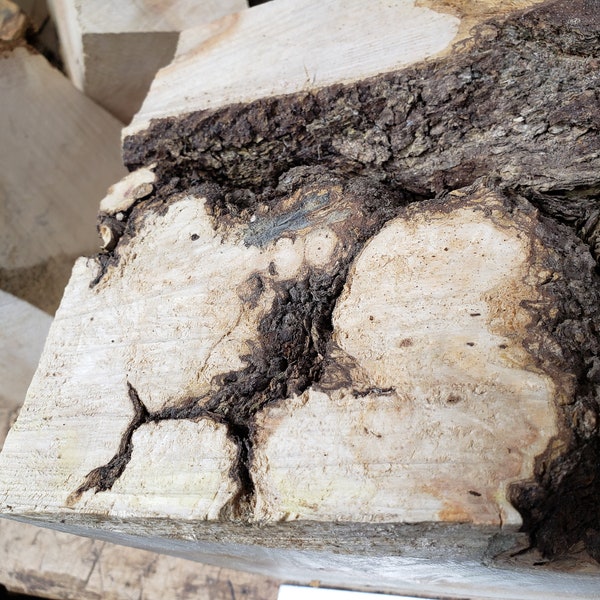 Box Elder Burl - Etsy