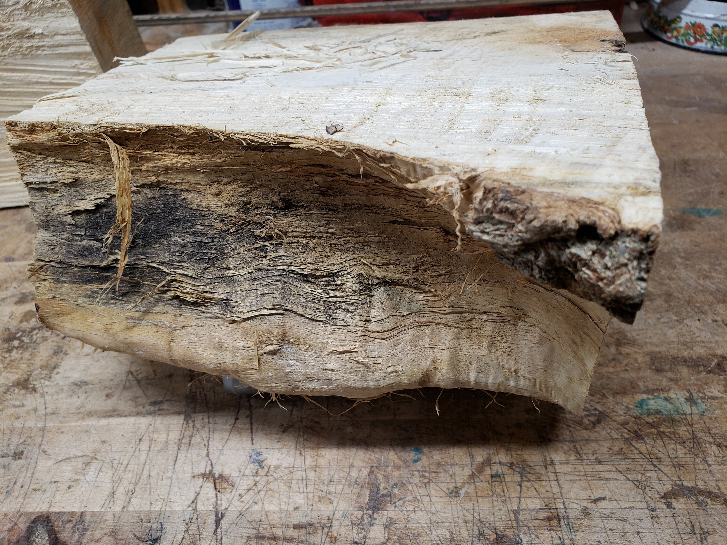 Box Elder Burl Slabs - Etsy