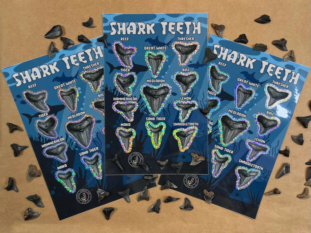 Shark Teeth Sticker Sheet - Etsy