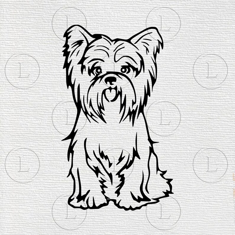 Yorkshire Terrier Svg-yorkshire Terrier Vector Graphics Animals ...