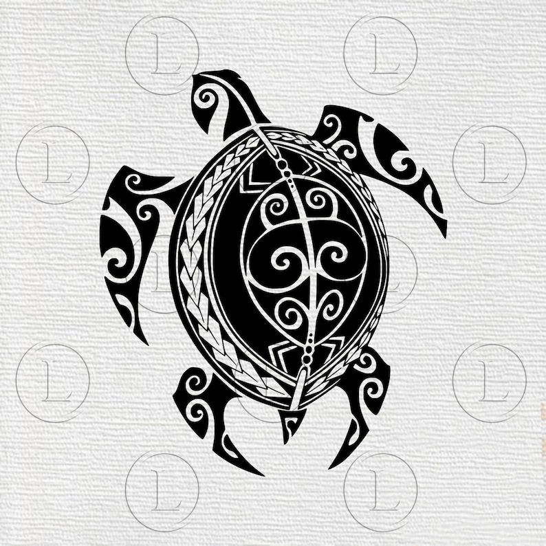 Turtle Svg-turtle Vector Graphics-turtle Reptiles - Etsy