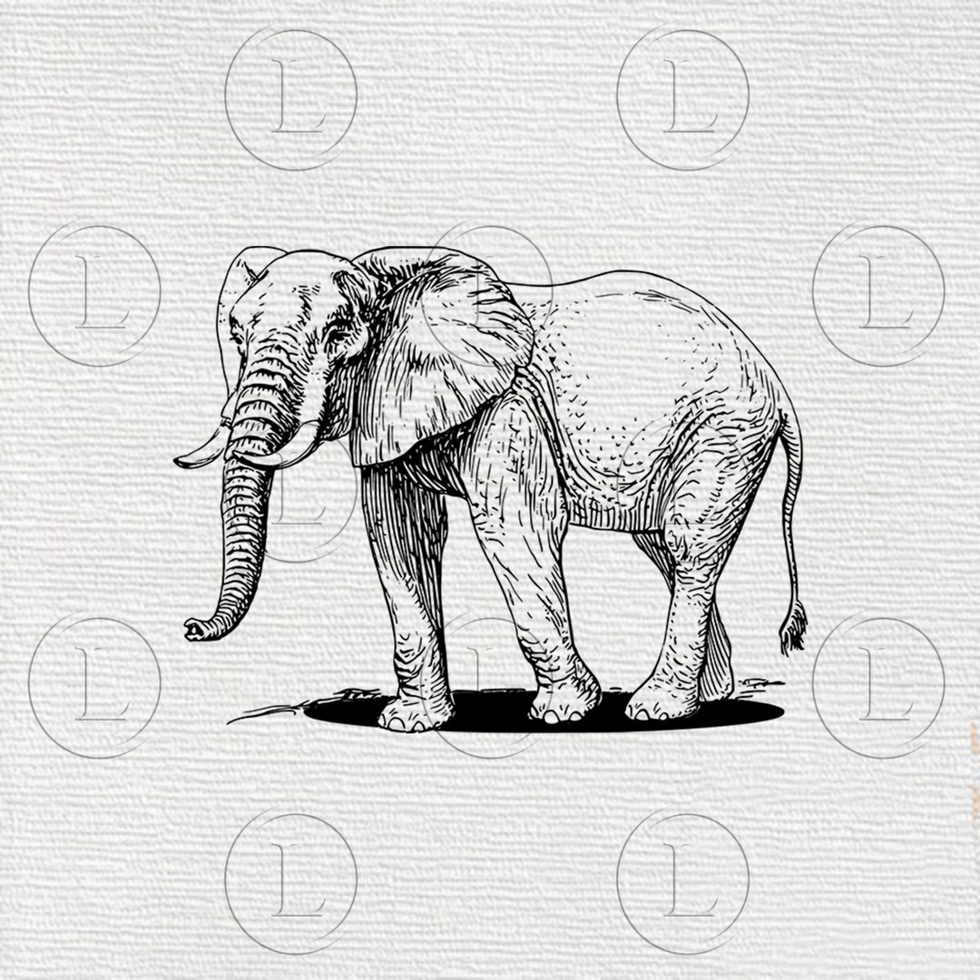 Elephant Svg - Elephant Vector Graphics-elephant Drawing Svg-elephant ...