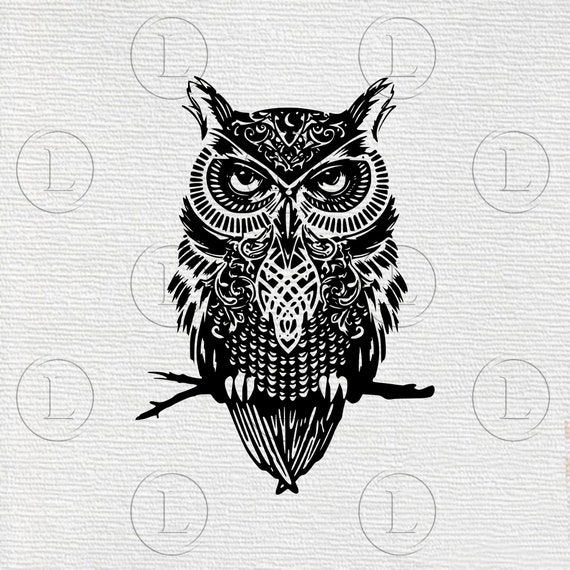 Eule Svg Eule Vektor Grafiken Vogel Svg Eule Zeichnung - Etsy.de