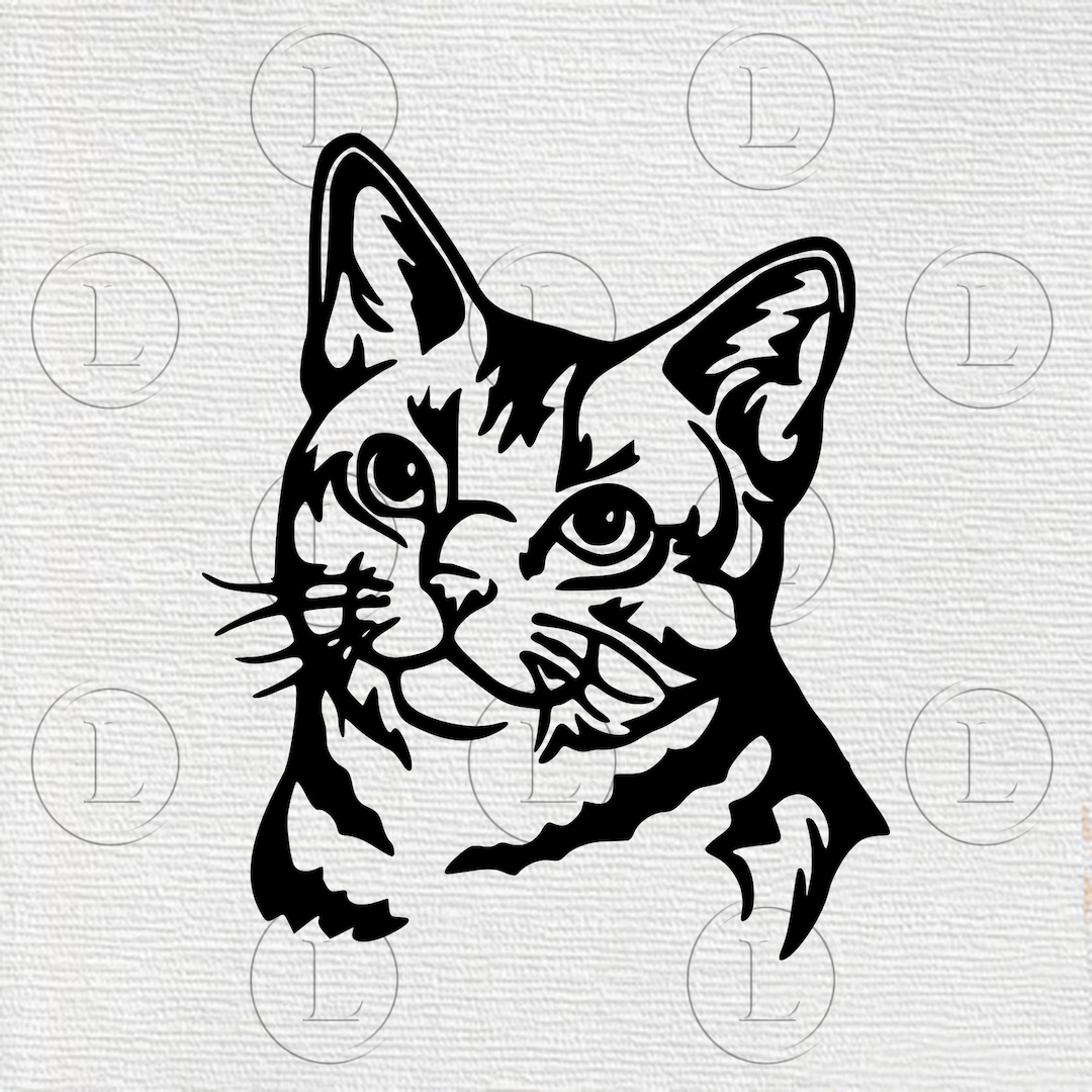 Cat Face Svg - Cat Vector Graphics-cat Animal Clip Art - Cat Drawing ...