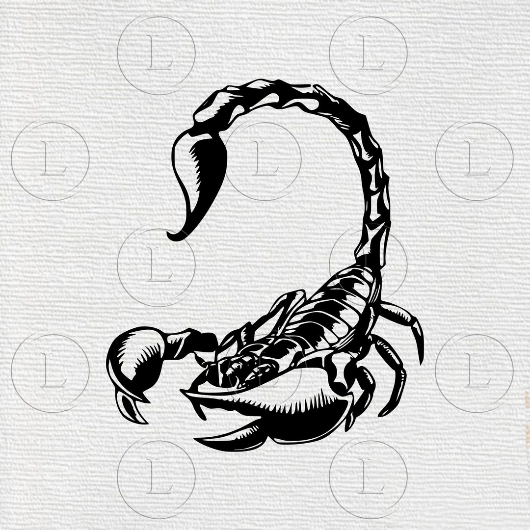 Scorpion Svg-scorpion Vector Graphics-scorpion Svg for Cricut-scorpion ...