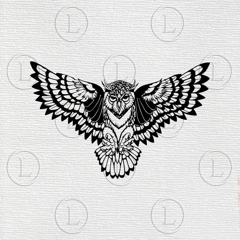 Owl Svg Owl Vector Graphics Bird Svg Owl Drawing Svg Owl | Etsy