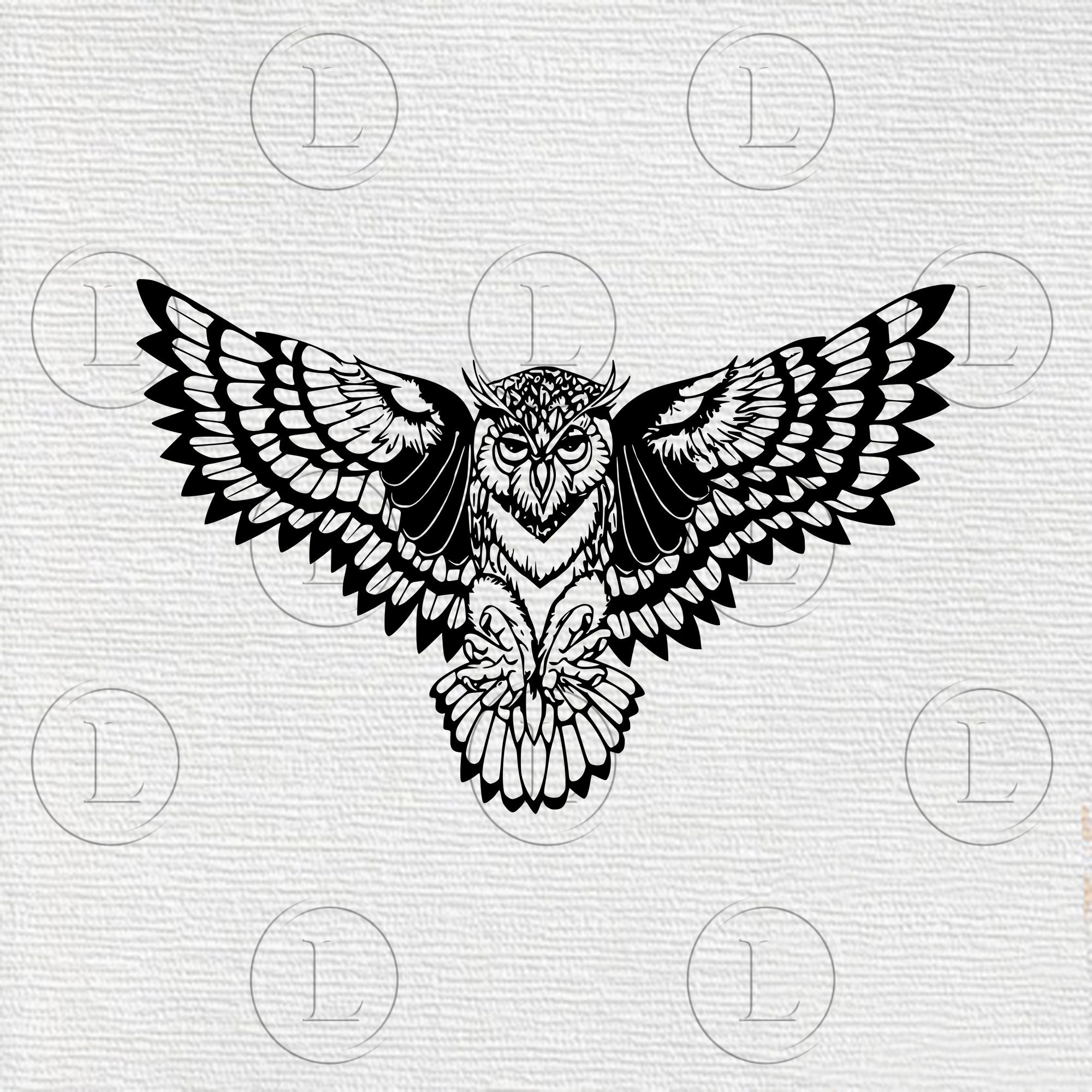 Owl Wings Spread Drawing