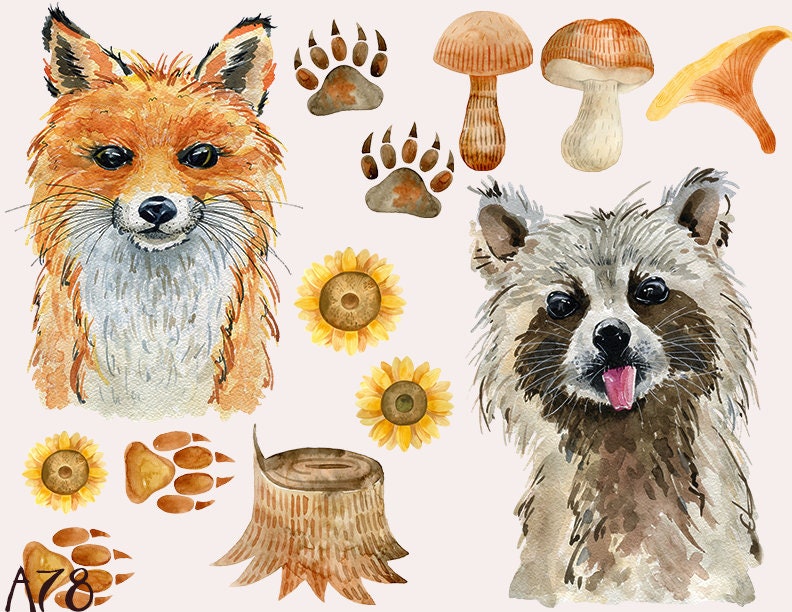 Vinyl Sticker Fuchs Sticker Bär Sticker Woodland Sticker - Etsy