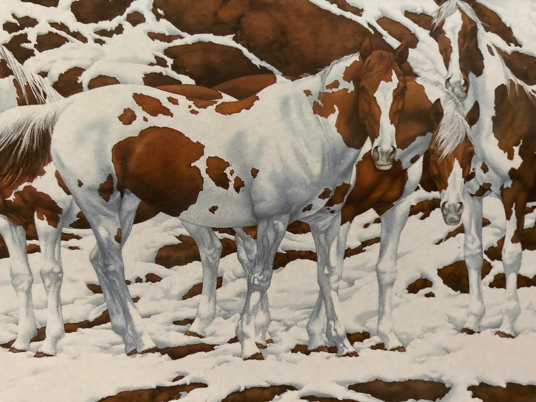 Bev Doolittle 'pintos' Art Card Print, Matted Suede 8x10 - Etsy
