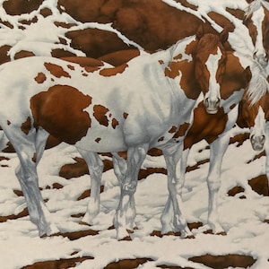 Bev Doolittle 'pintos' Art Card Print, Matted Suede 8x10 - Etsy