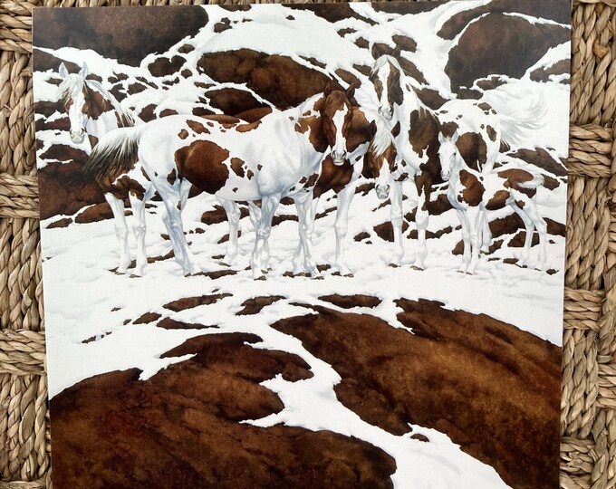 Bev Doolittle Pintos Art Print: Matted, Ready to Frame (10x10) - Etsy