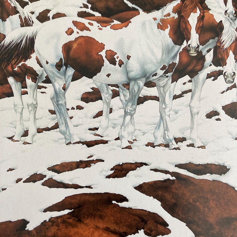 Bev Doolittle Wall Hangings - Etsy