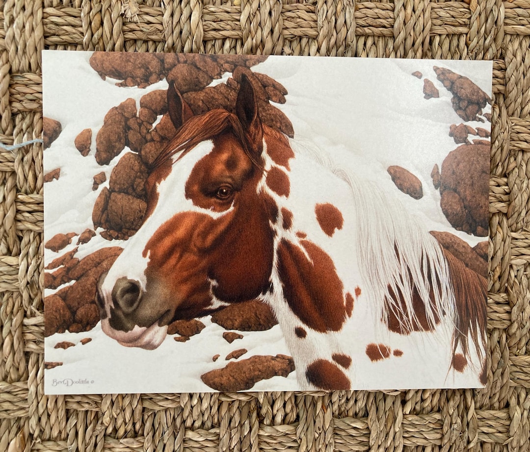 Bev Doolittle Pinto Horse Art Card Print: Hide and Seek, Matted 8x10 - Etsy