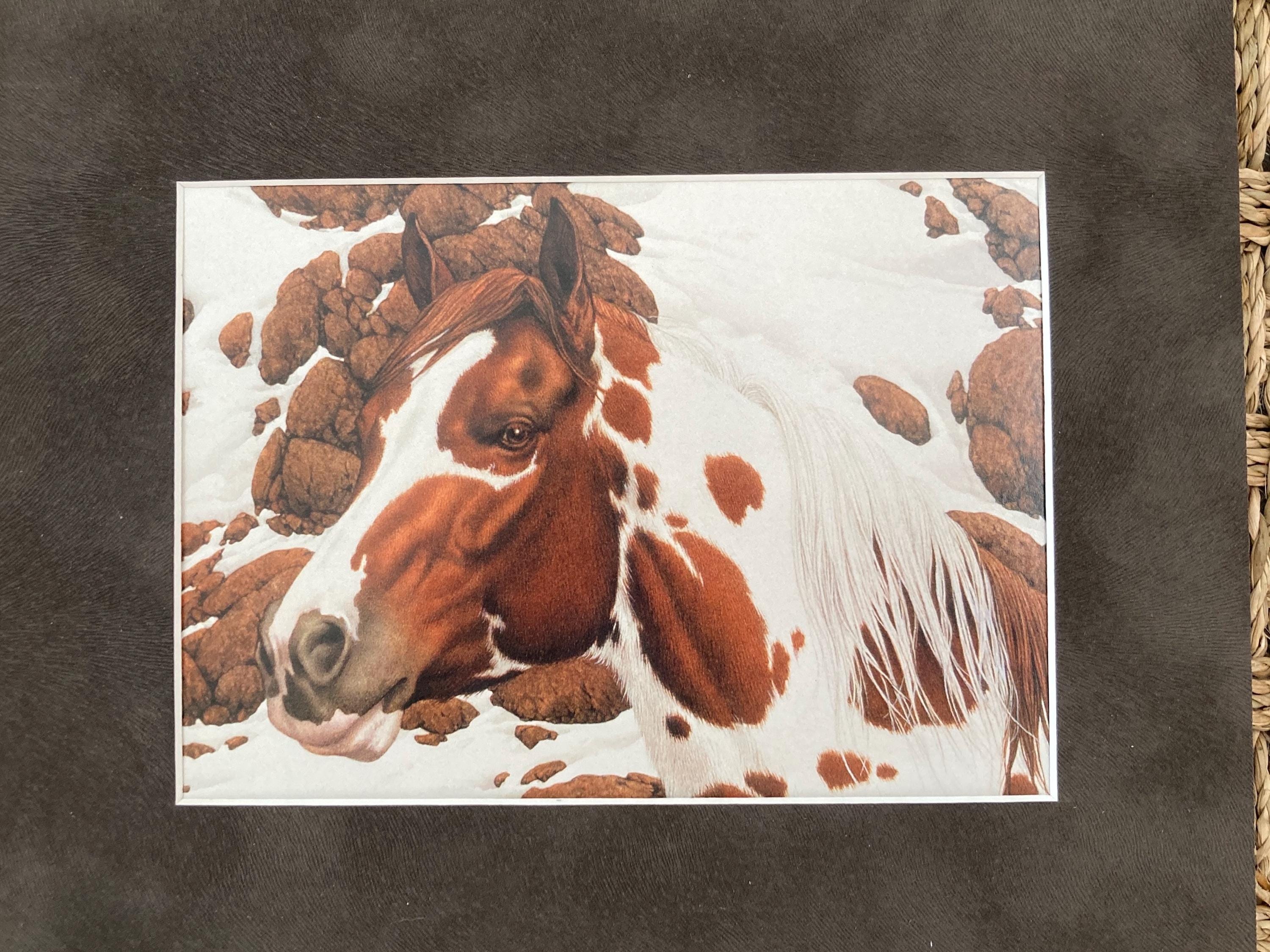 Bev Doolittle Pinto Horse Art Card Print: Hide and Seek, Matted 8x10 - Etsy
